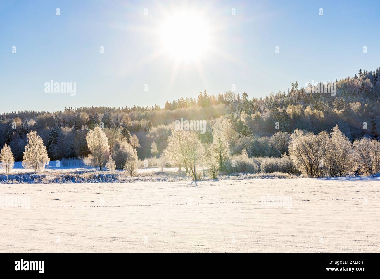 Flare wintry hi-res stock photography and images - Alamy