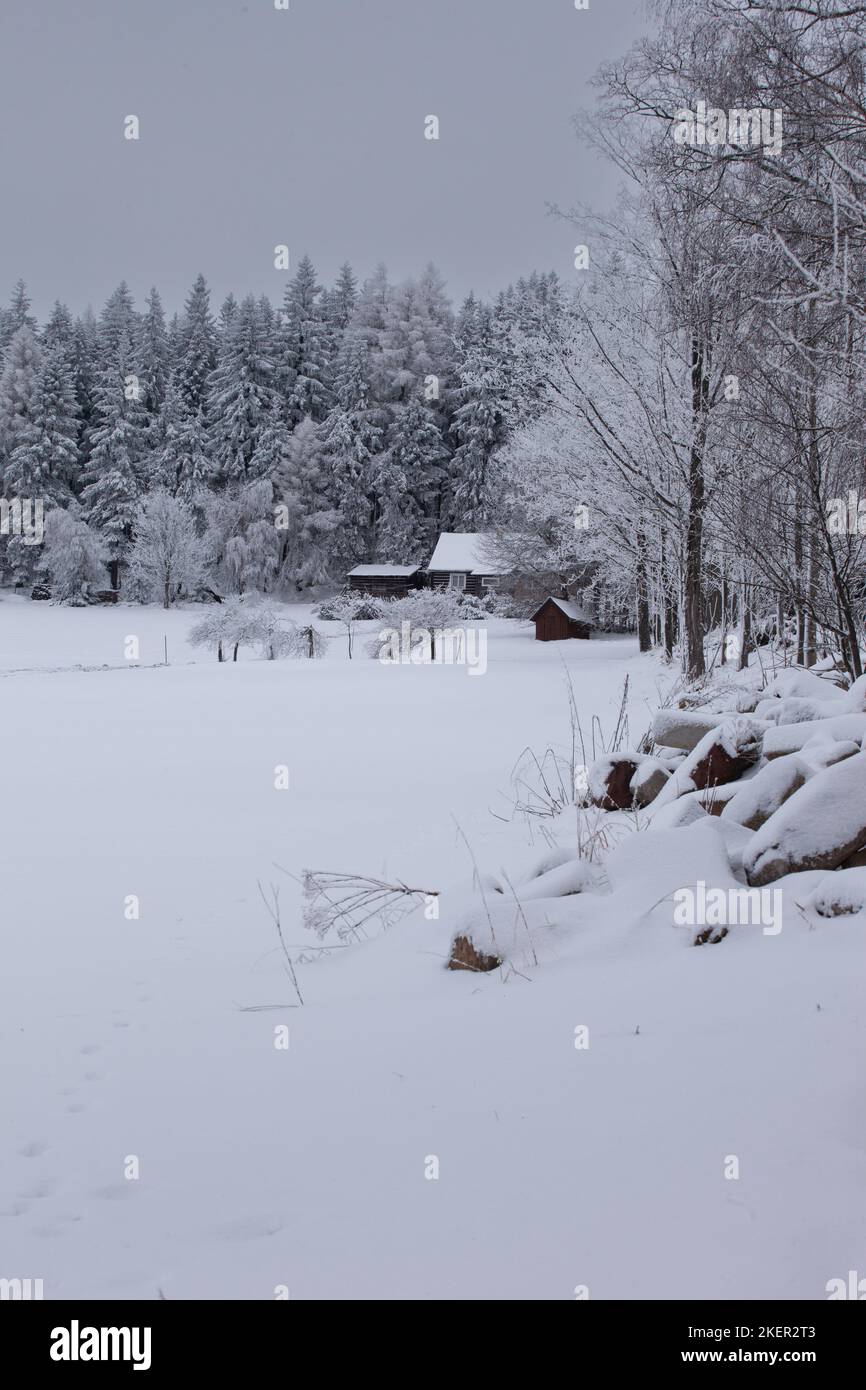 The snow covered the meadows, the forest and the buildings, creating a ...