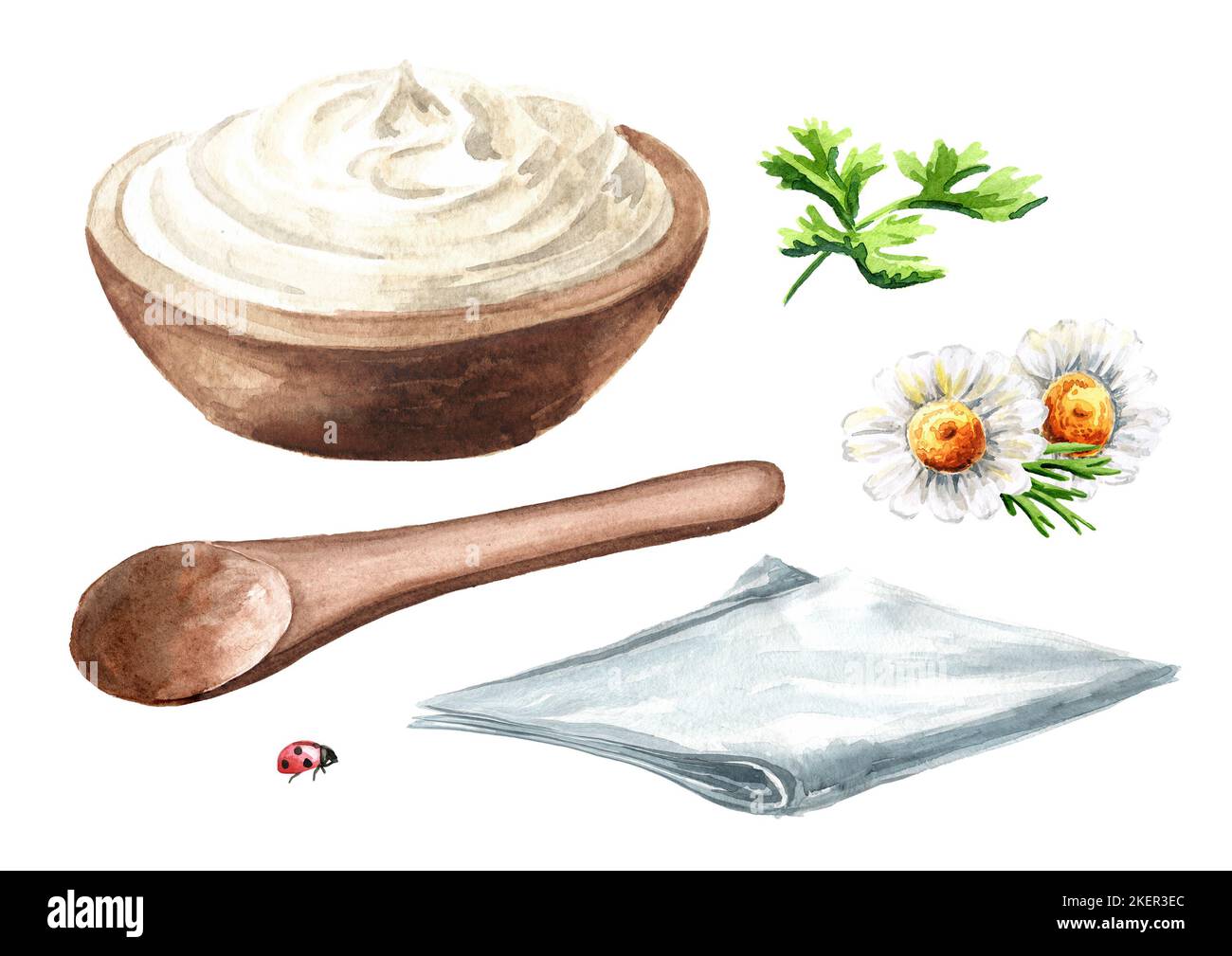 Sour cream in a wooden bowl set. Hand drawn watercolor illustration ...