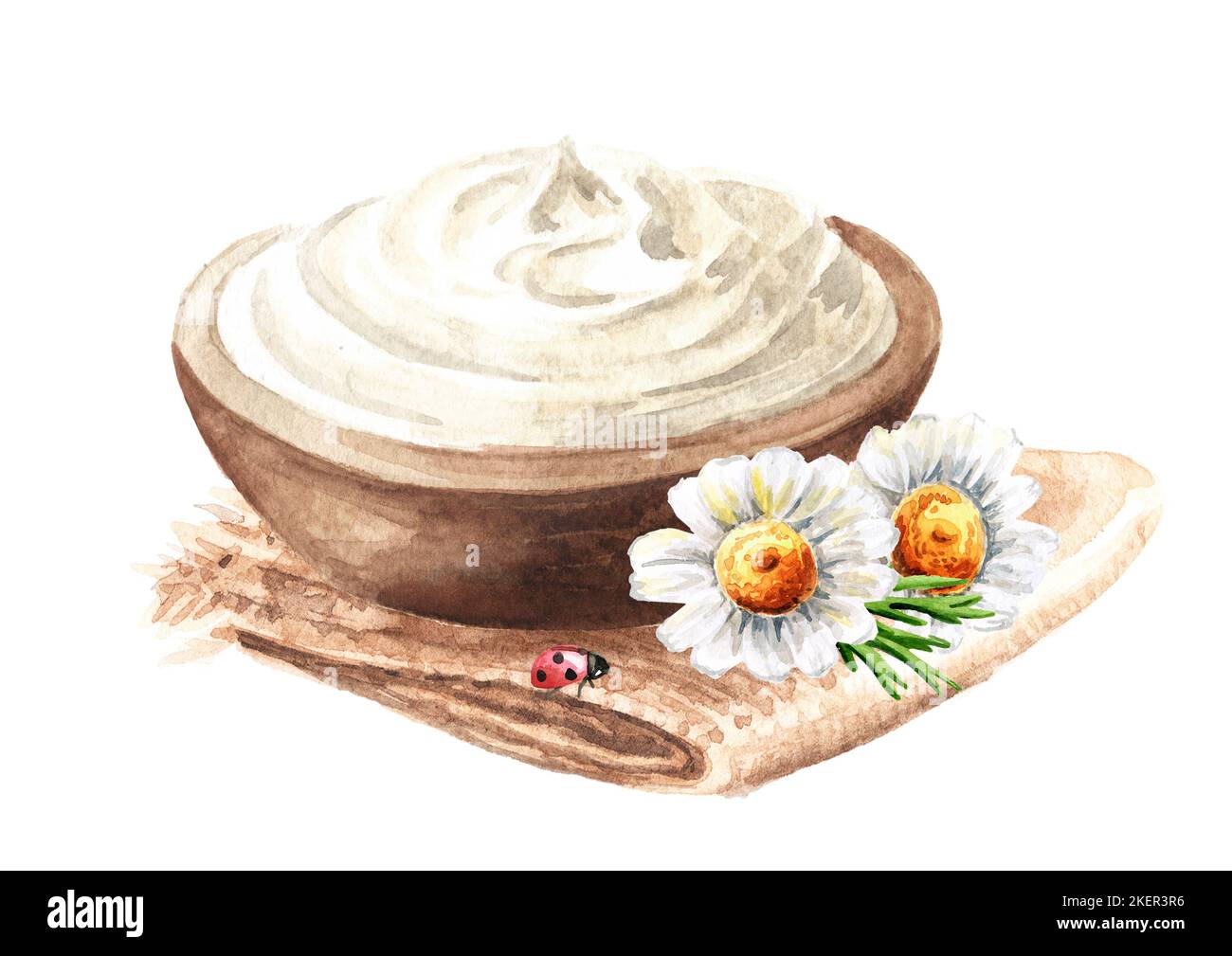 Sour cream in wooden bowl. Hand drawn watercolor illustration, isolated ...