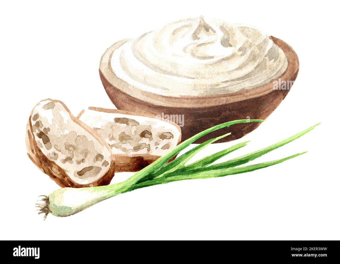 Sour cream with bread and Chive. Hand drawn watercolor illustration ...