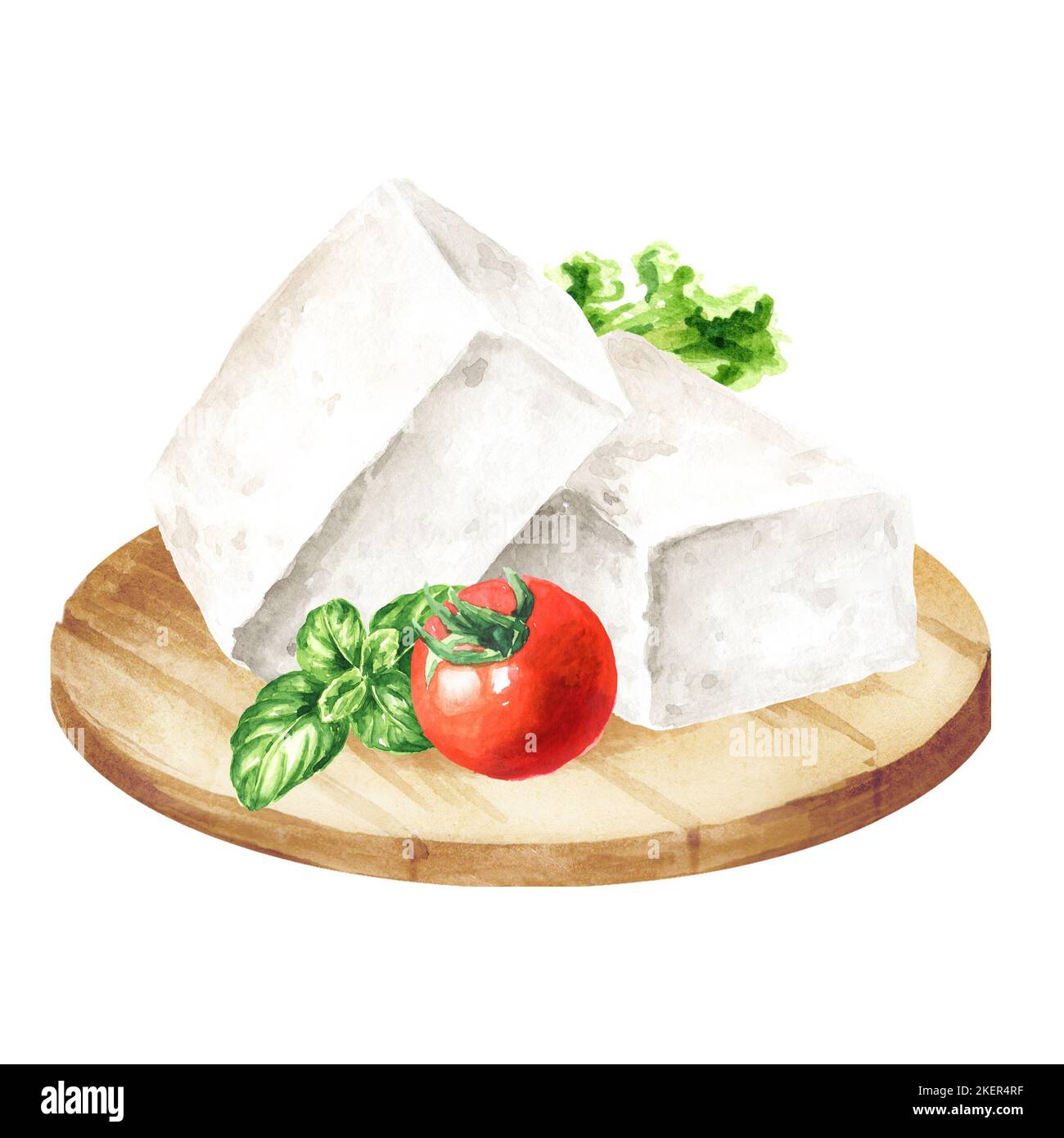 White brine cheese with basil and tomato. Hand drawn watercolor ...