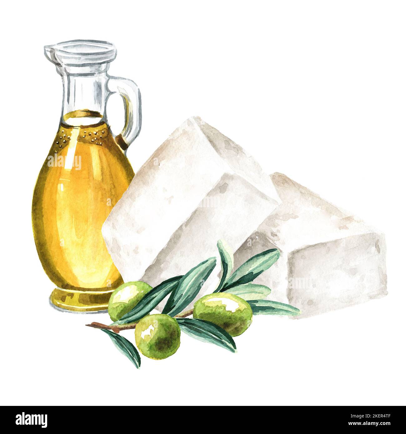White brine cheese with olive oil. Hand drawn watercolor illustration ...