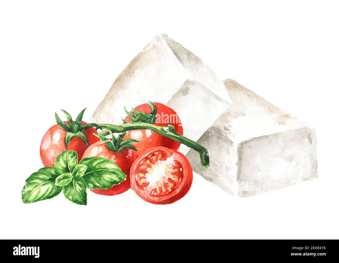White brine cheese with tomatoes. Hand drawn watercolor illustration ...