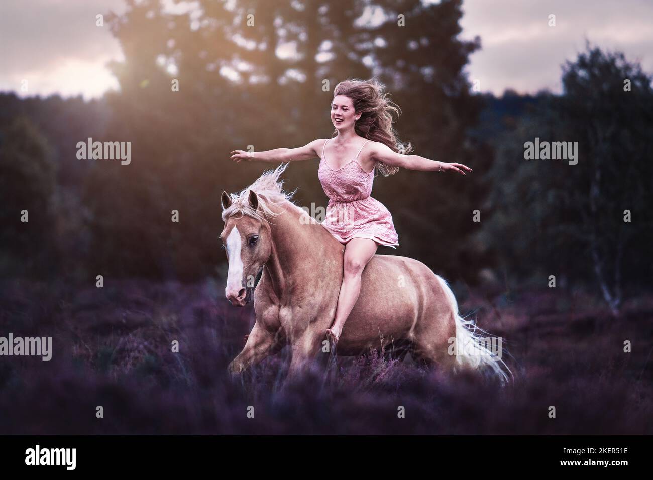 woman and German Riding Pony Stock Photo - Alamy
