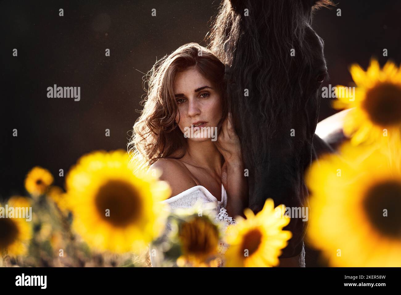 Animals flower friesian hi-res stock photography and images - Alamy
