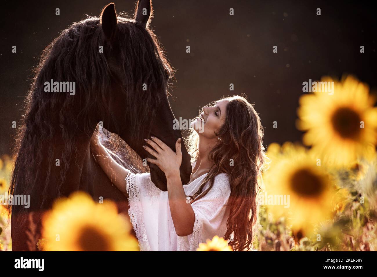 Animals flower friesian hi-res stock photography and images - Alamy