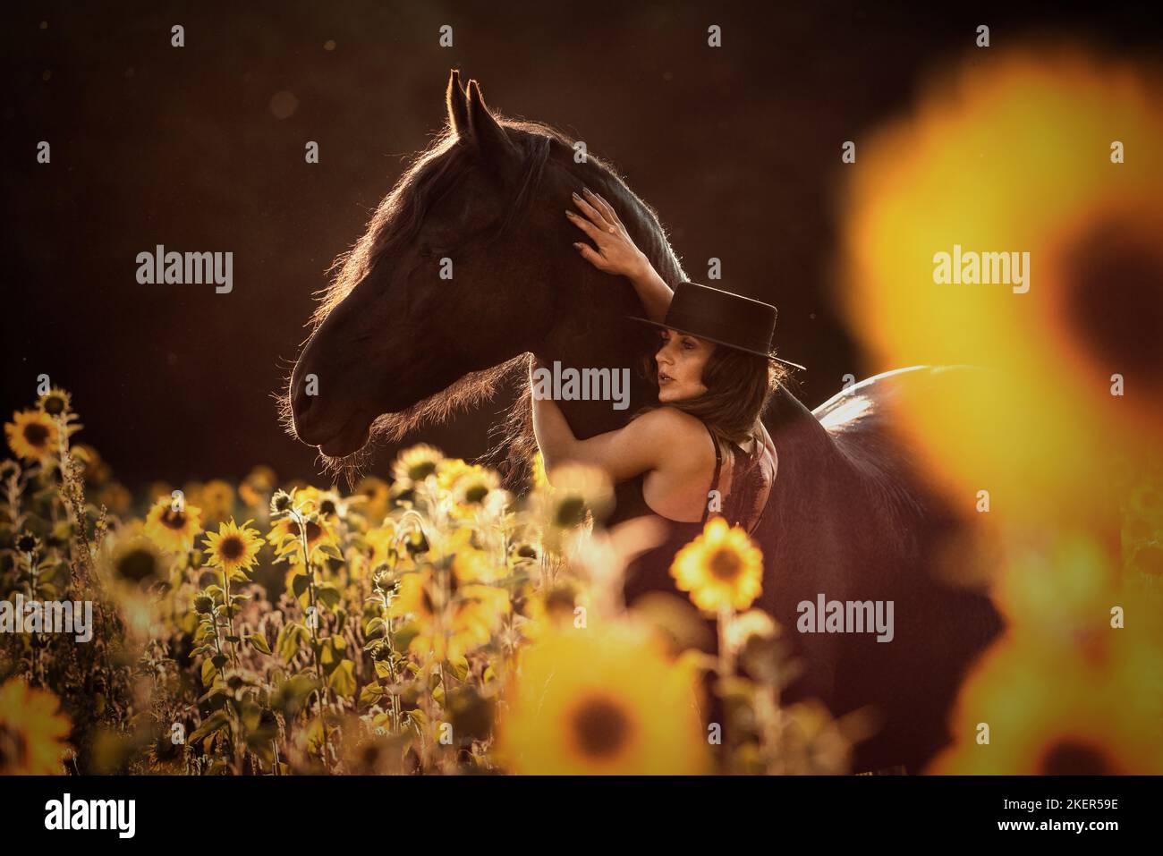 Animals flower friesian hi-res stock photography and images - Alamy