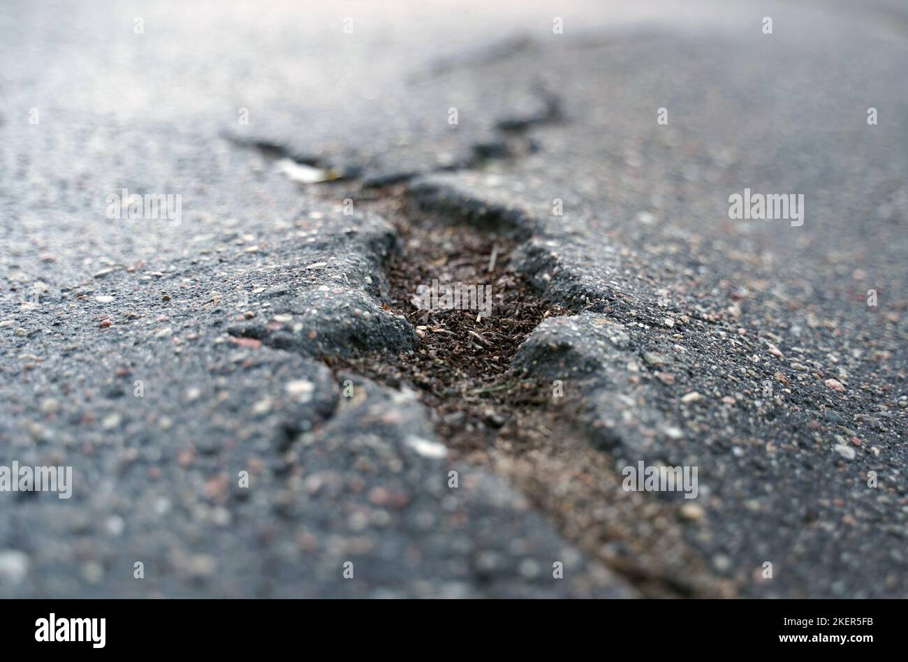 Texture. Cracked asphalt texture. View from above. Close-up Stock Photo ...