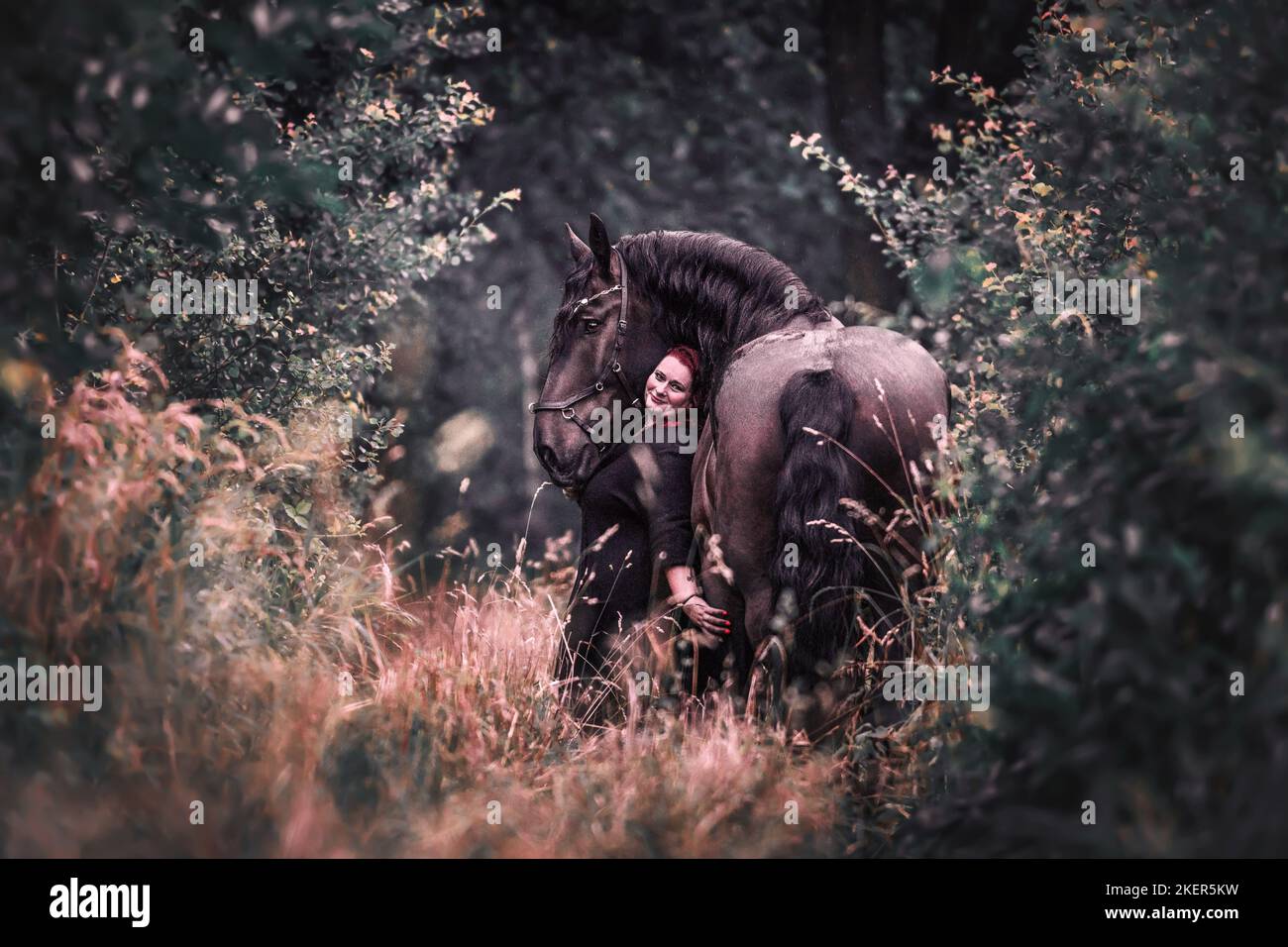 Draft horse rear view hi-res stock photography and images - Alamy