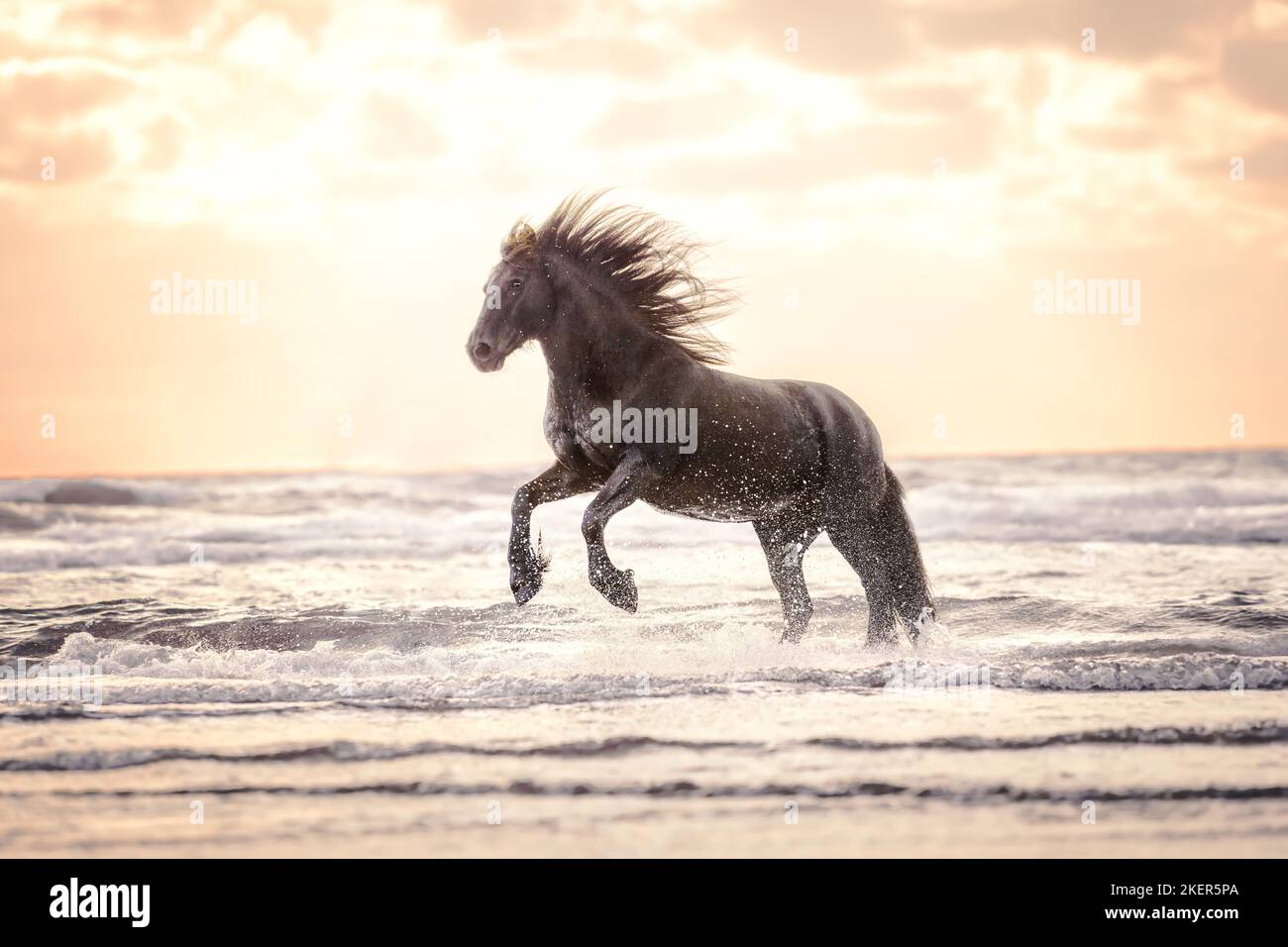 Sunset through splashes hi-res stock photography and images - Alamy