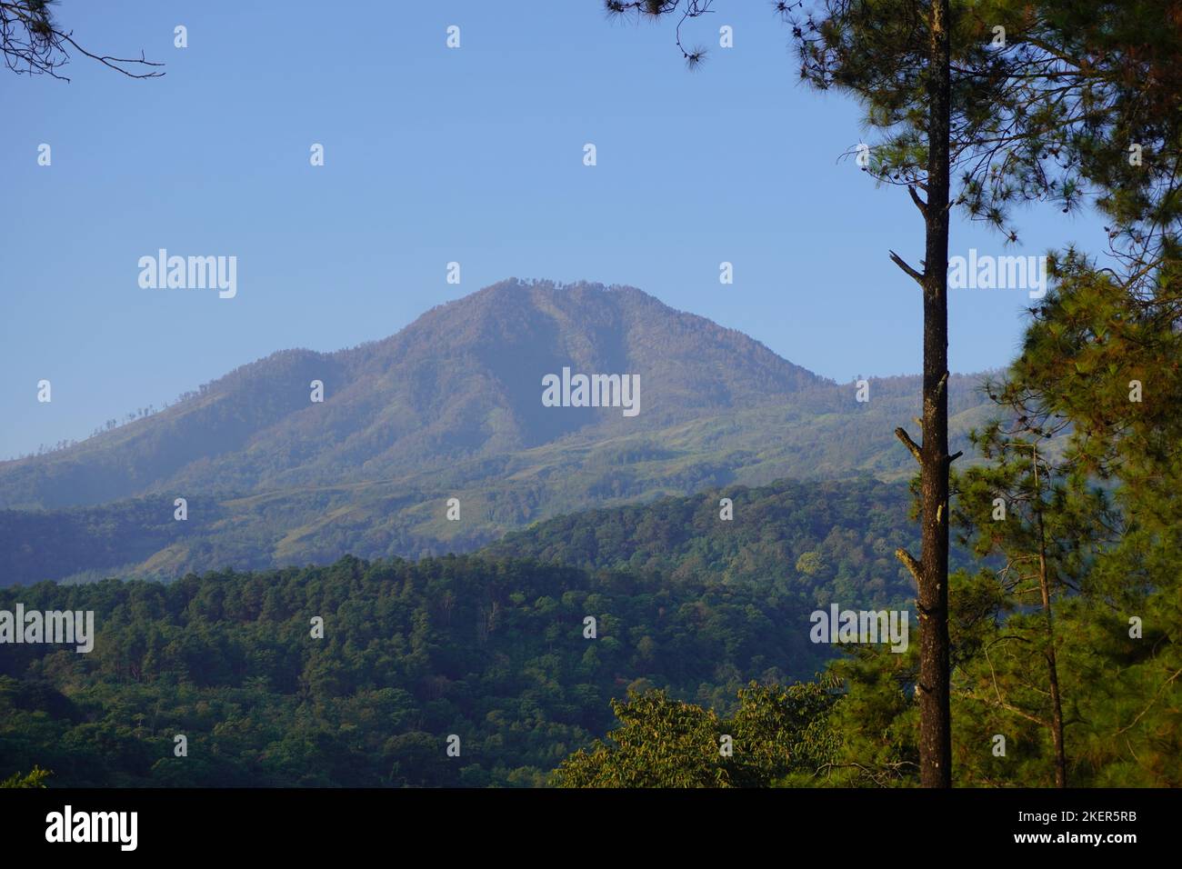 Tropical rainforest indonesia mountain hi-res stock photography and ...
