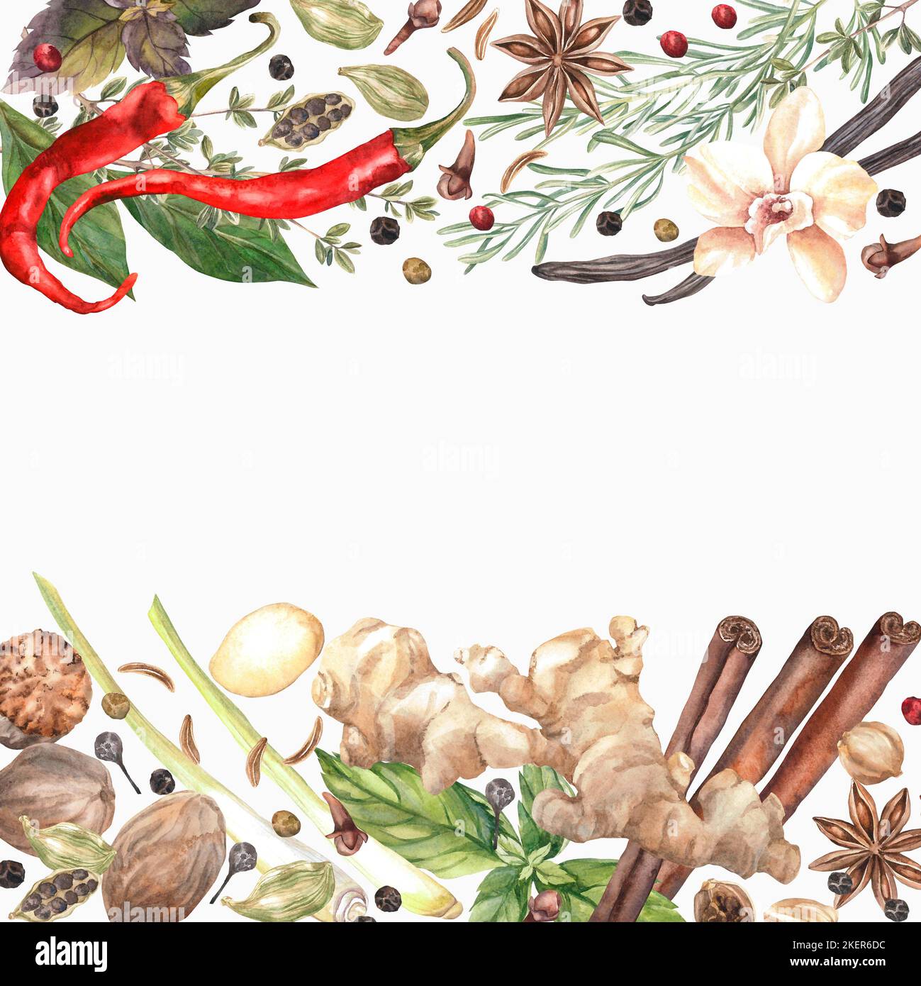 Spices. Watercolor. Set. Illustration for clipart. Designed for menus ...