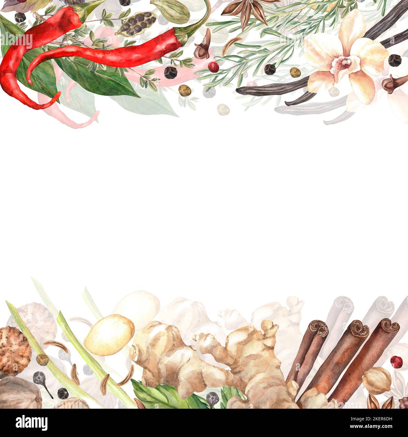 Spices. Watercolor. Set. Illustration for clipart. Designed for menus ...