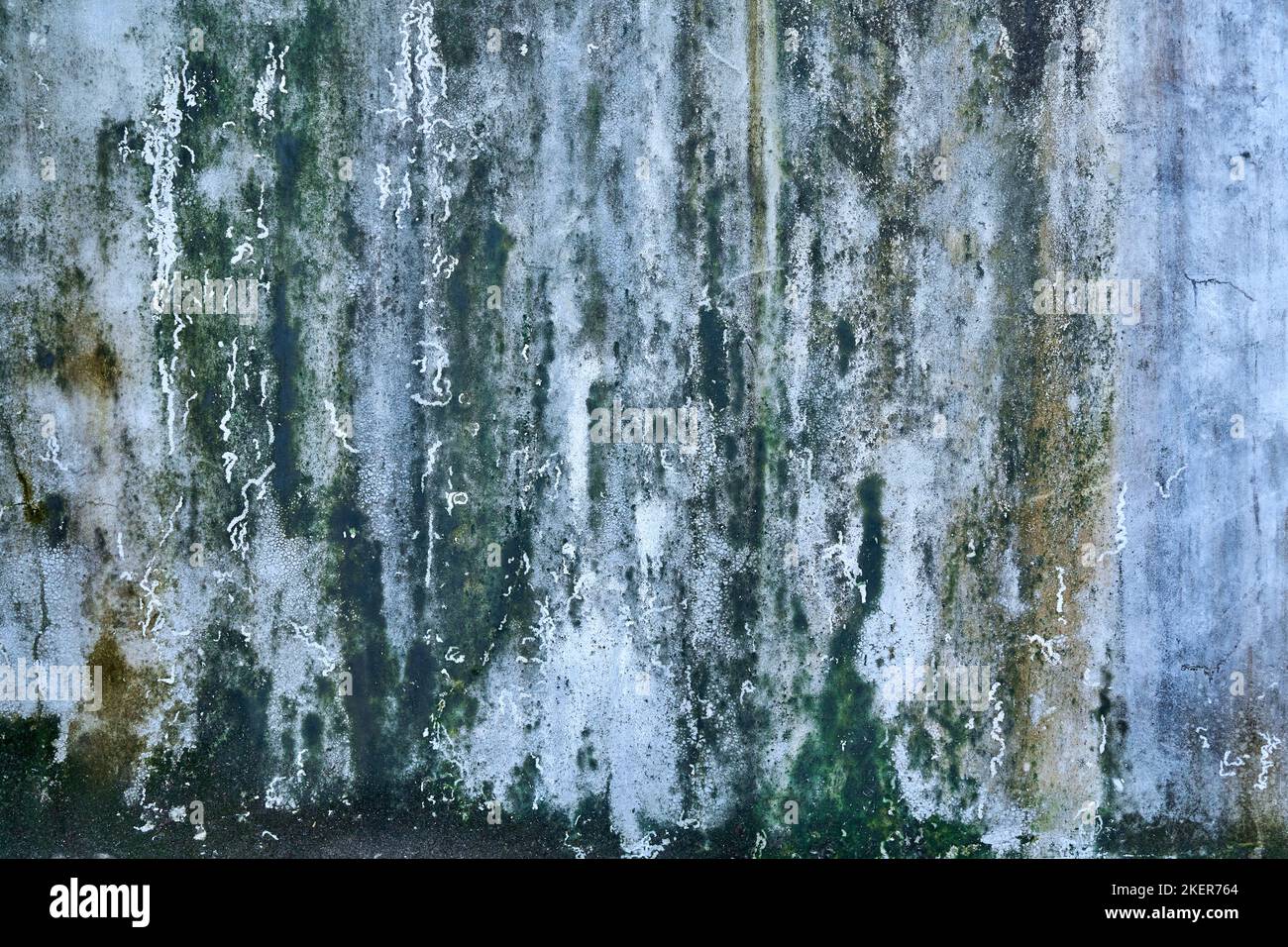Concrete wall texture with green mold stains Stock Photo - Alamy