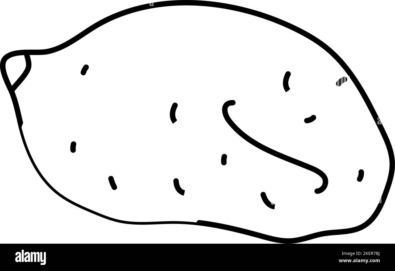 Purple sweet potatoes Stock Vector Images - Alamy