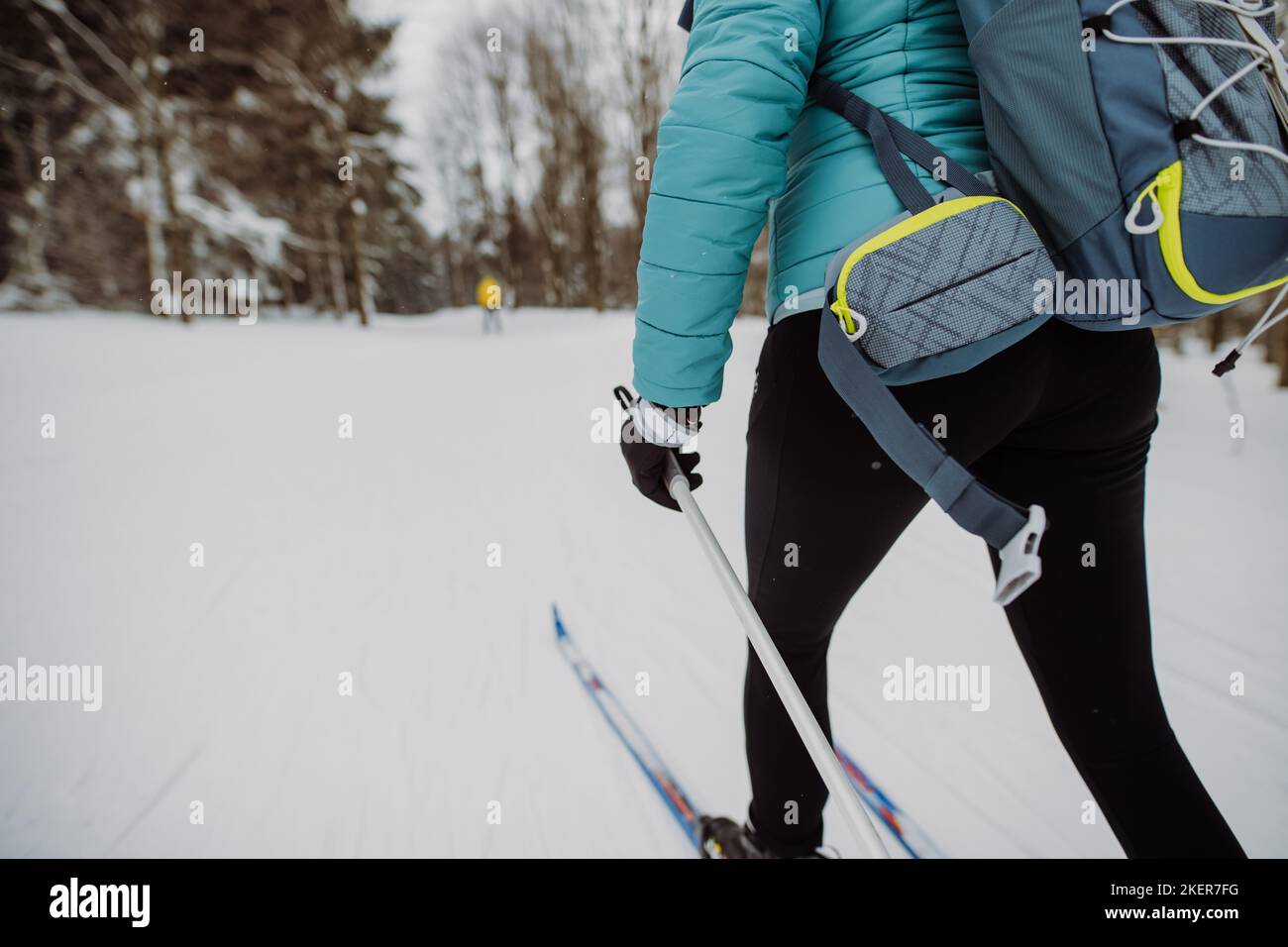 Rear view of unrecognizable cross country skier Stock Photo - Alamy