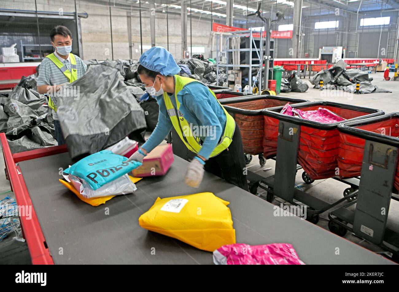The Shunfeng Express workers are sorting parcels in the warehouse ...