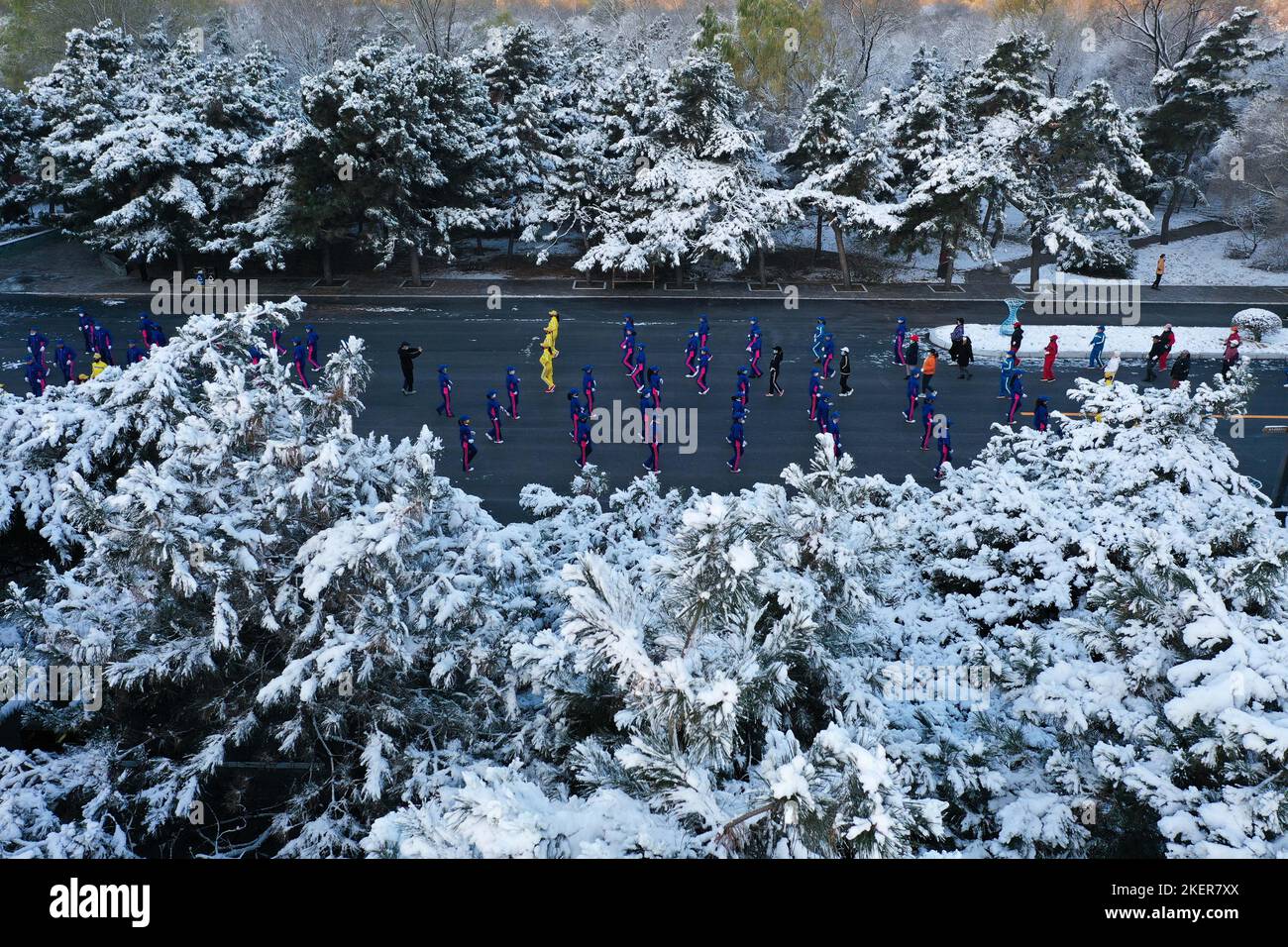Aerial photo shows the beautiful scenery of Beiling Park after snow in ...