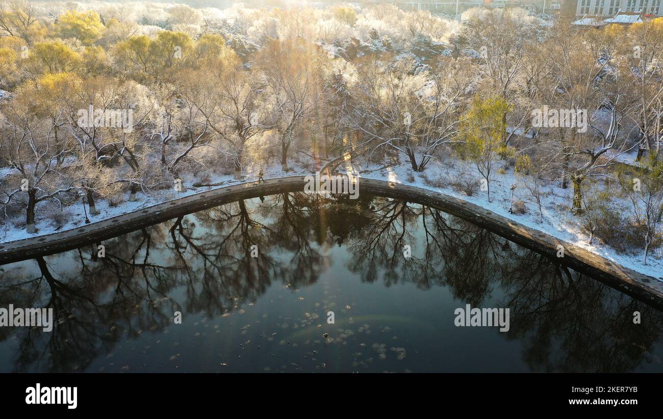Aerial photo shows the beautiful scenery of Beiling Park after snow in ...