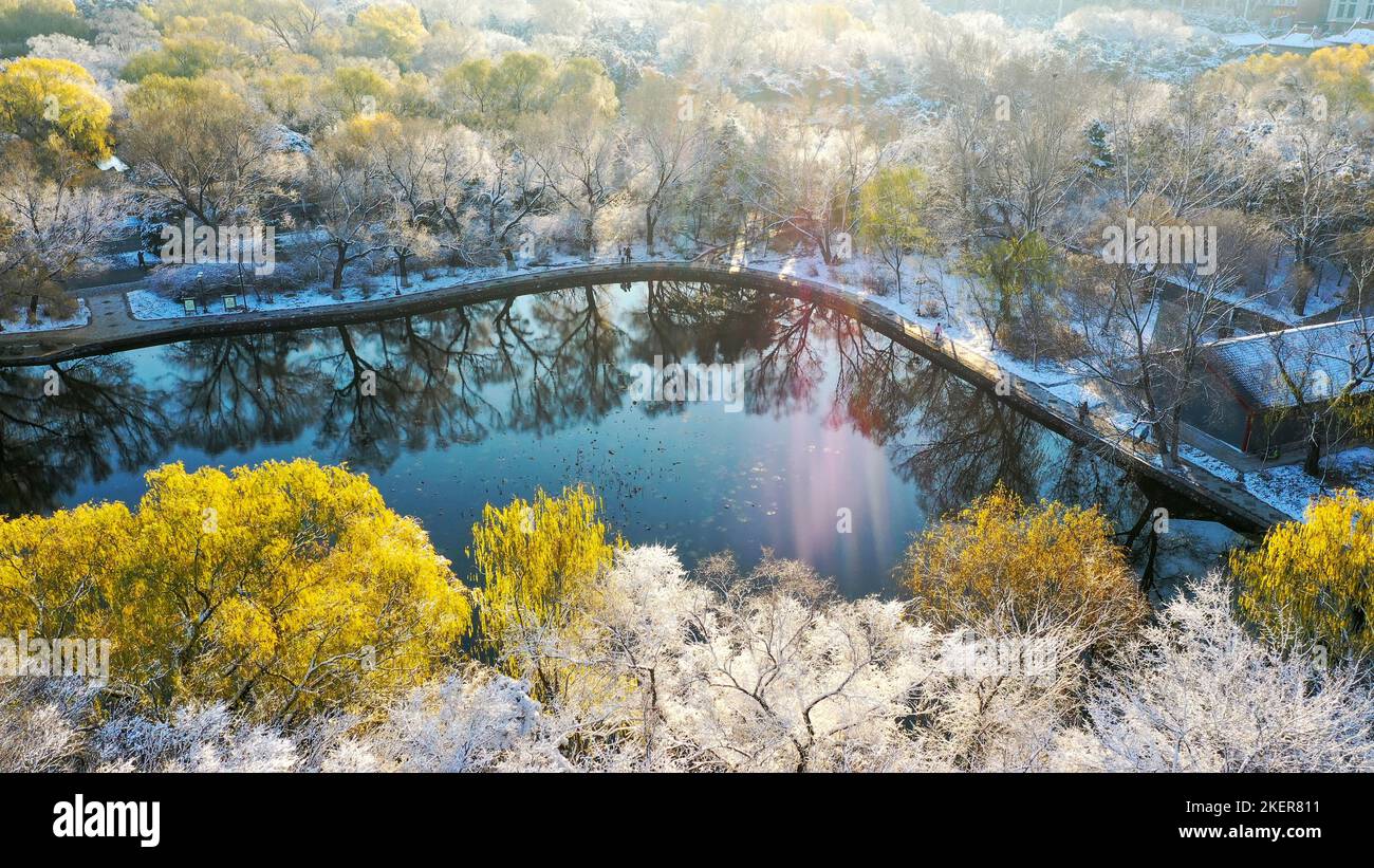 Aerial photo shows the beautiful scenery of Beiling Park after snow in ...