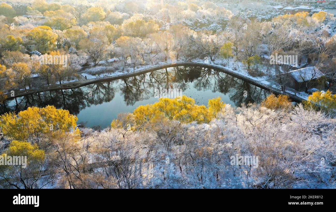 Aerial photo shows the beautiful scenery of Beiling Park after snow in ...