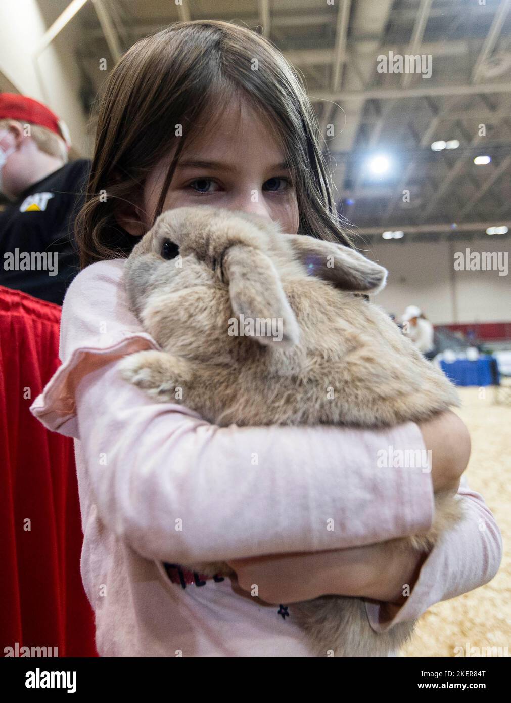 Toronto, Canada. 13th Nov, 2022. A girl poses for photos with a rabbit ...