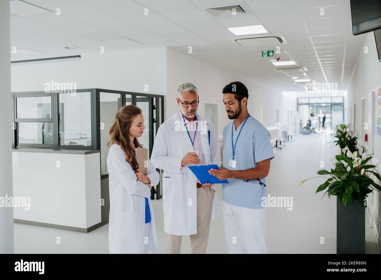 Doctors discussing something at hospital corridor Stock Photo - Alamy