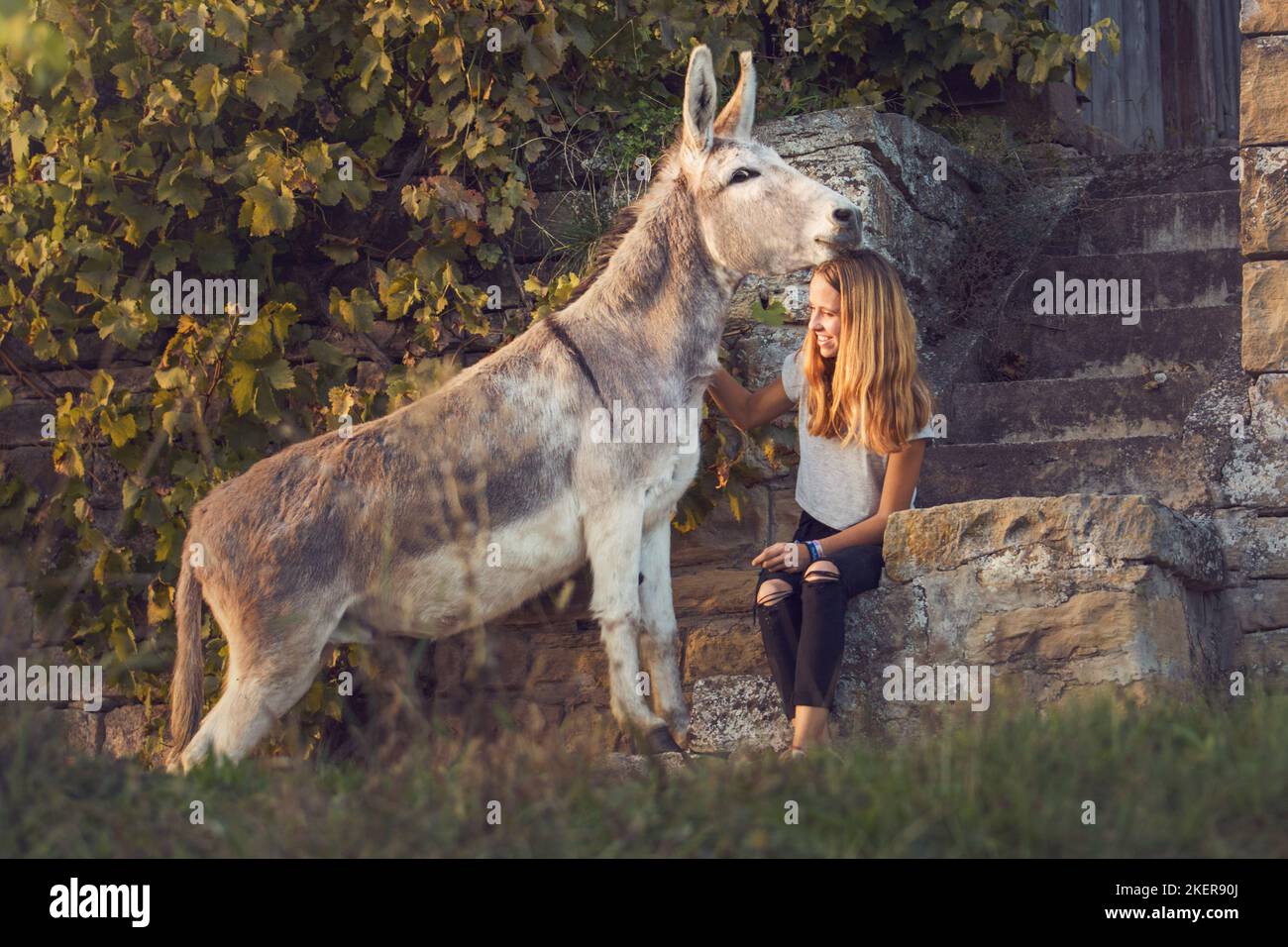 woman and donkey Stock Photo - Alamy