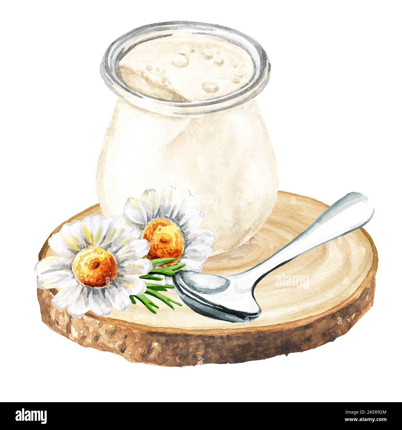 Cottage cheese, rustic homemade. Hand drawn watercolor illustration ...