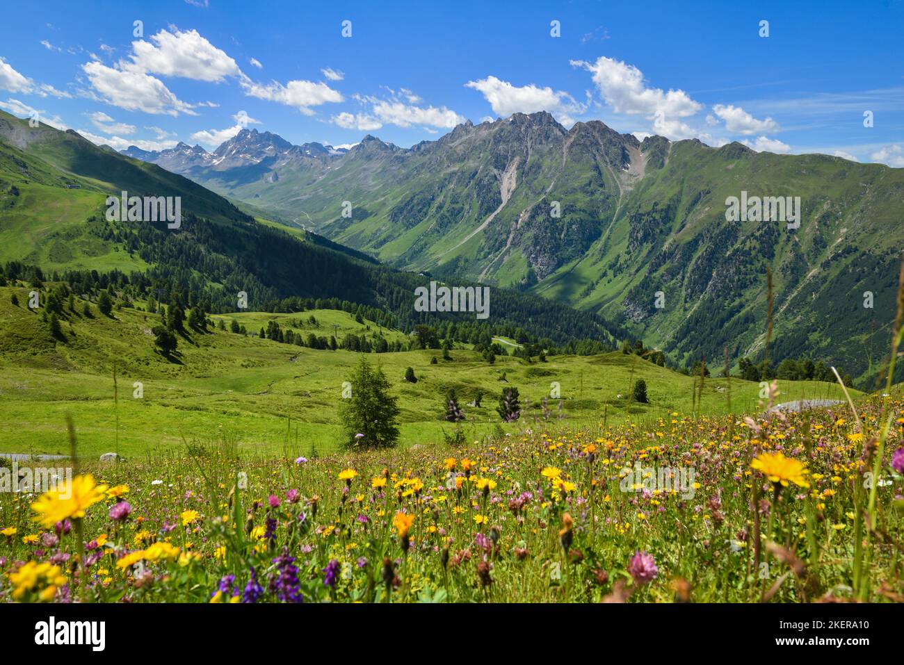 Scenic mountain landscape with alpine blooming meadows. Location place ...