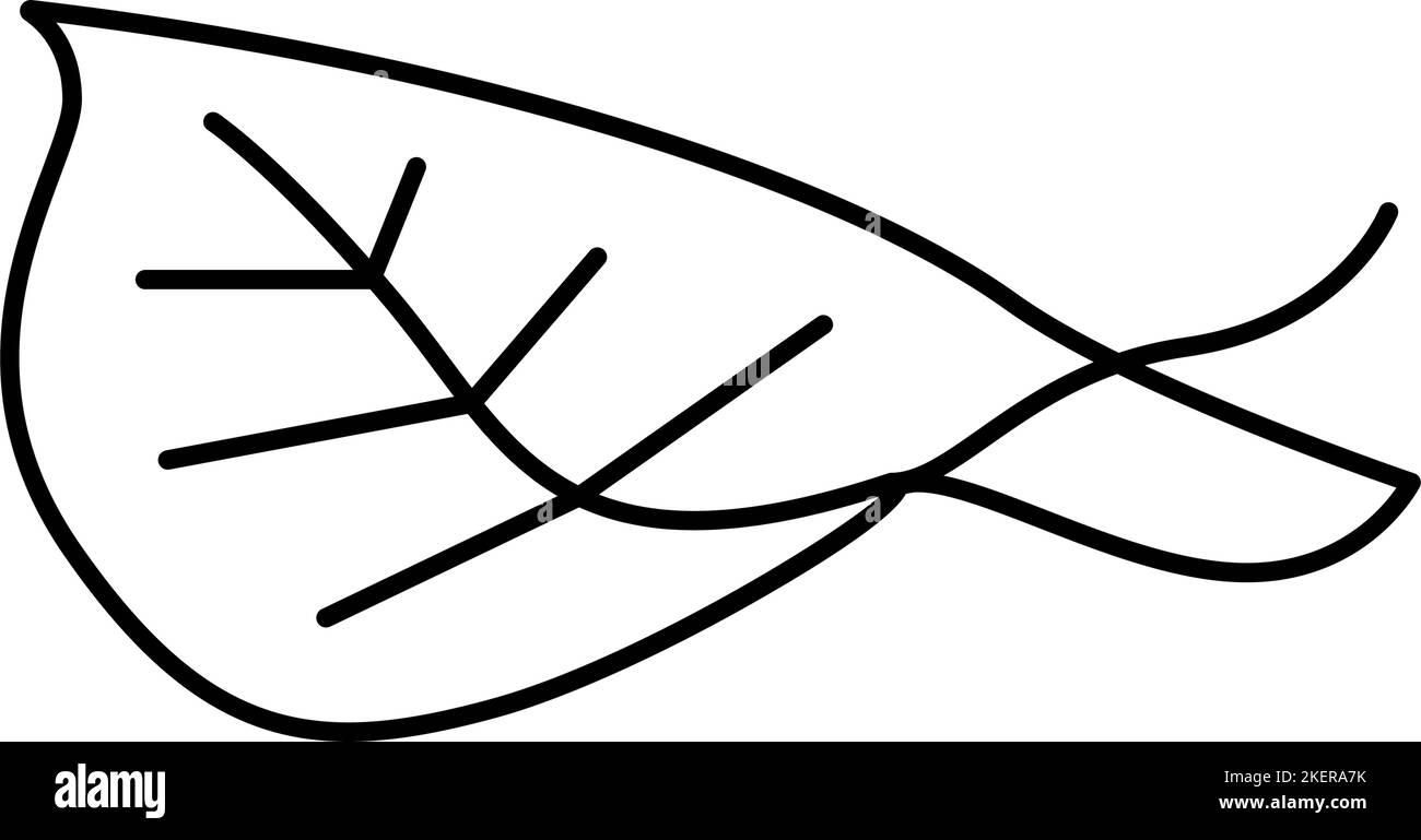 leaf birch autumn line icon vector illustration Stock Vector Image ...