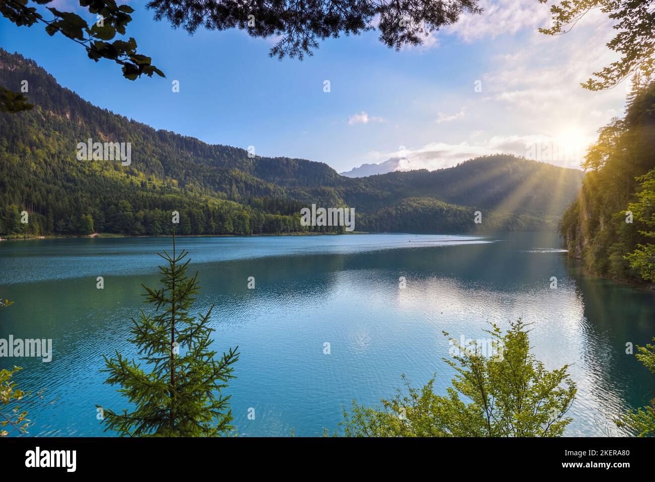 Gorgeous emerald-green lake Alpsee in the German Alps, Allgau, Bavaria ...