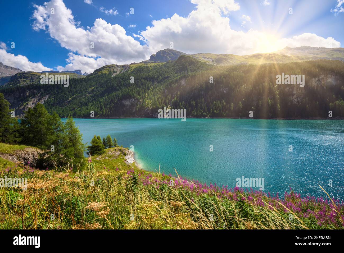 Beautiful view of the emerald alpine lake. Sunny summer landscape Stock ...