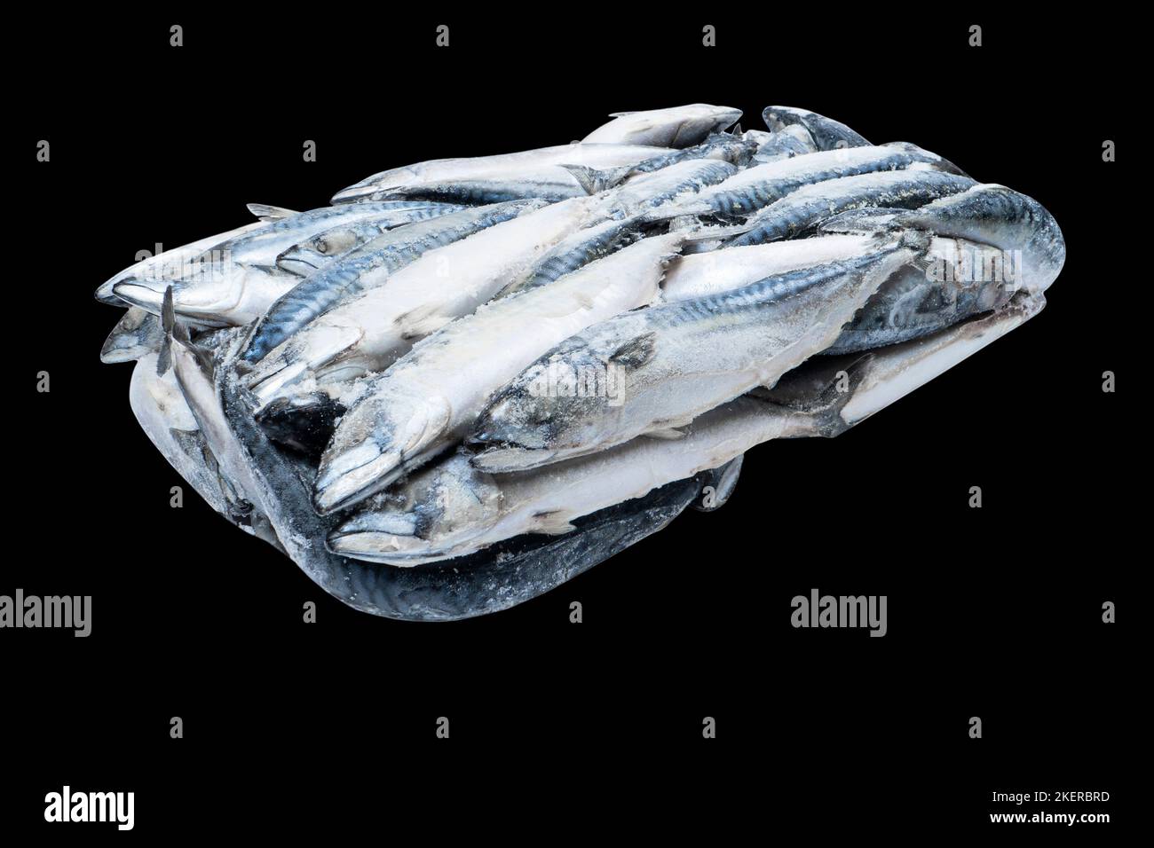 Frozen mackerel isolated. Frozen group of fish. Iced fish. Heap of ...