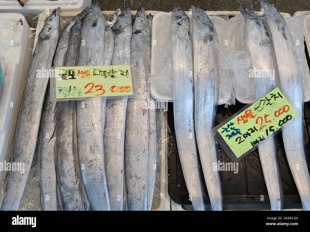 Long silver fish displayed for sale in South Korean market Stock Photo ...