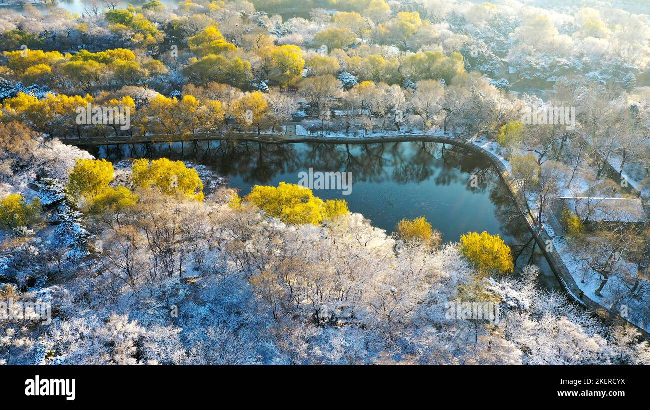 Aerial photo shows the beautiful scenery of Beiling Park after snow in ...