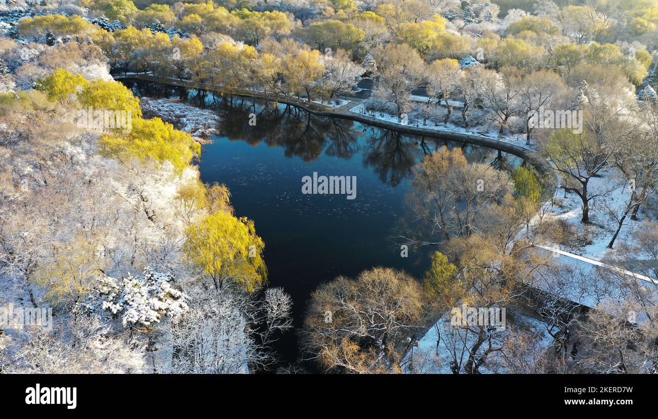 Aerial photo shows the beautiful scenery of Beiling Park after snow in ...