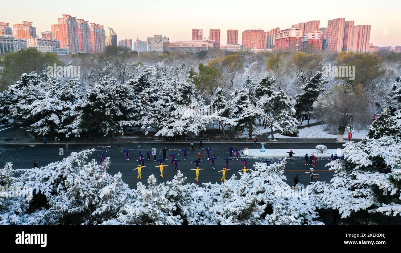 Aerial photo shows the beautiful scenery of Beiling Park after snow in ...
