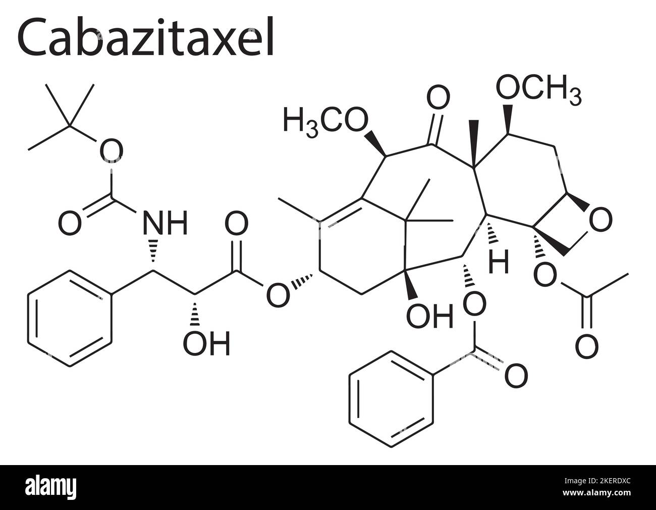 The chemical structure of an anticancer drug, Cabazitaxel Stock Vector ...