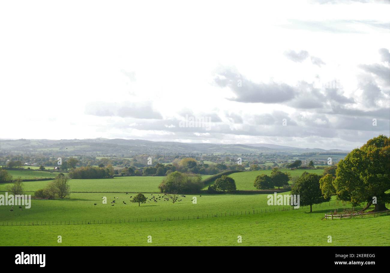 Killerton gardens hi-res stock photography and images - Alamy