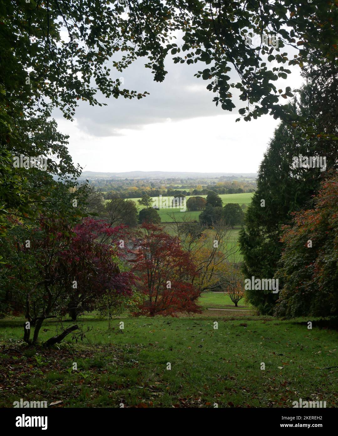 Killerton gardens hi-res stock photography and images - Alamy