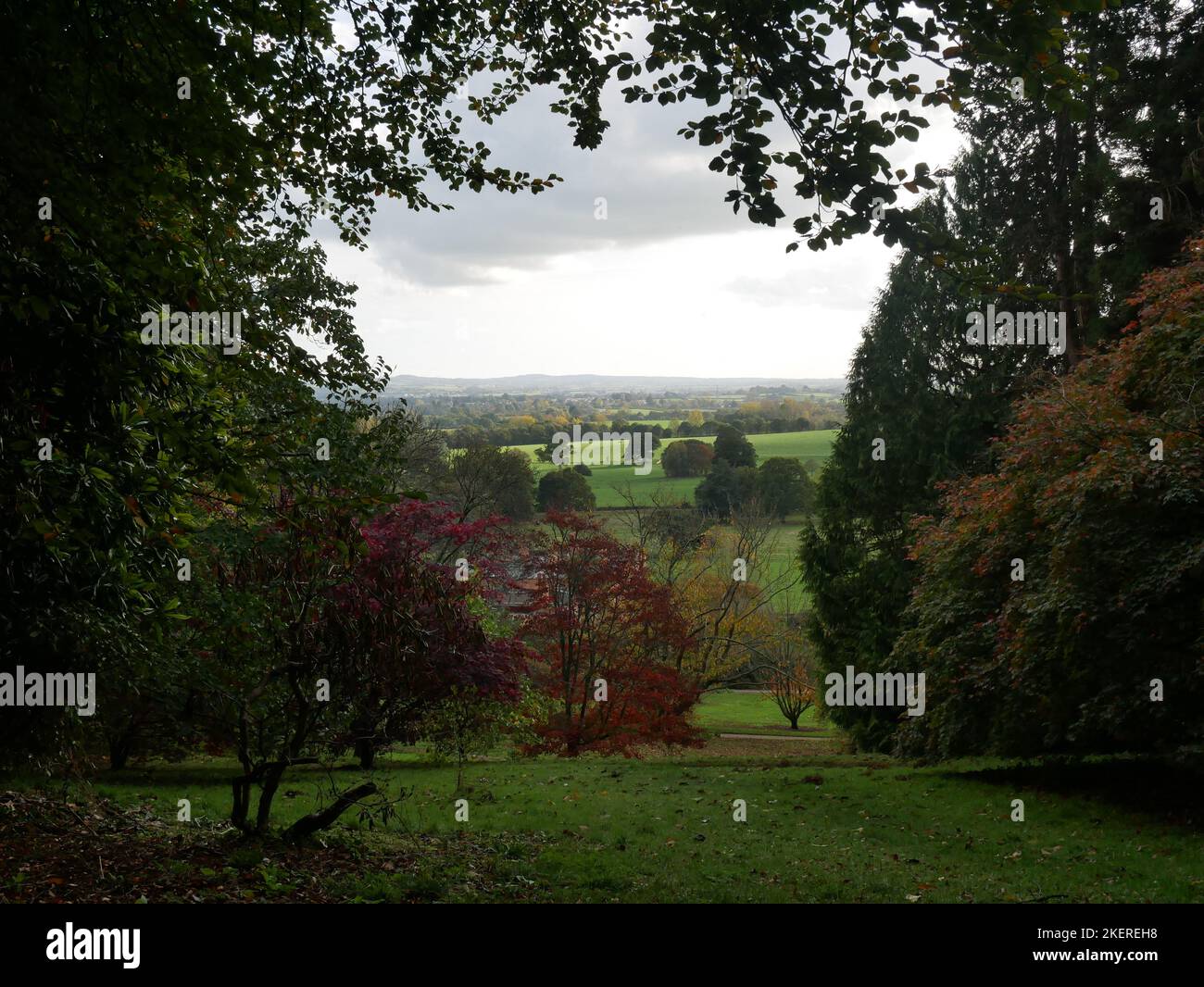Killerton gardens hi-res stock photography and images - Alamy