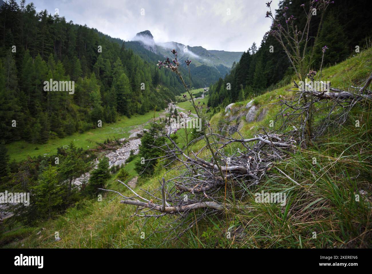 Mountain landscape. Alpine slope with dry scrub Stock Photo - Alamy