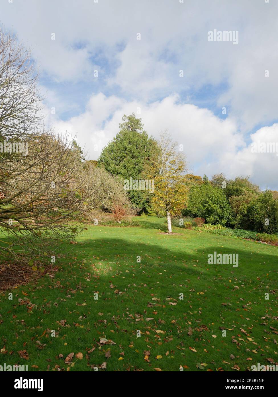 Killerton gardens hi-res stock photography and images - Alamy