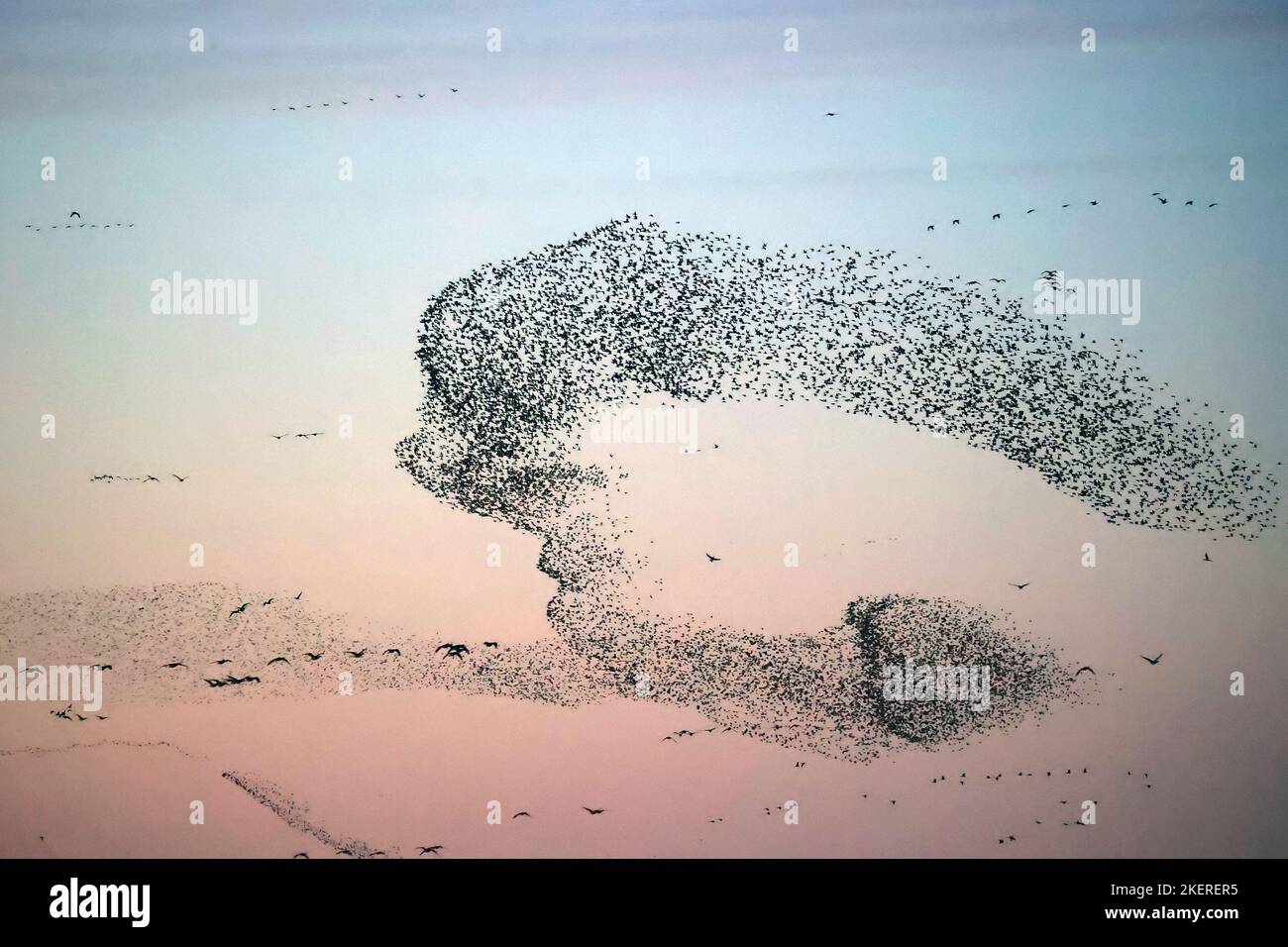 Over the wetlands of the Yellow River Delta National Nature Reserve ...