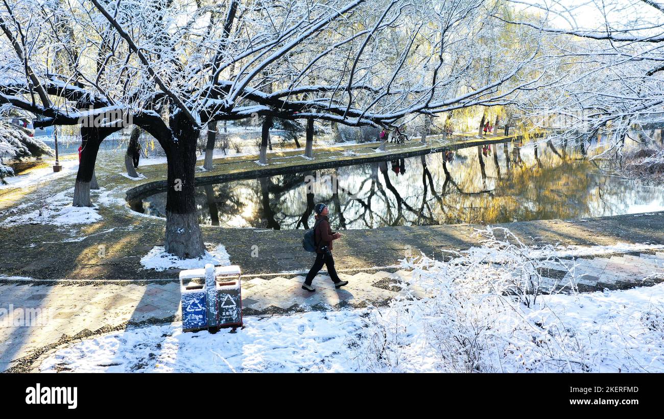 Aerial photo shows the beautiful scenery of Beiling Park after snow in ...