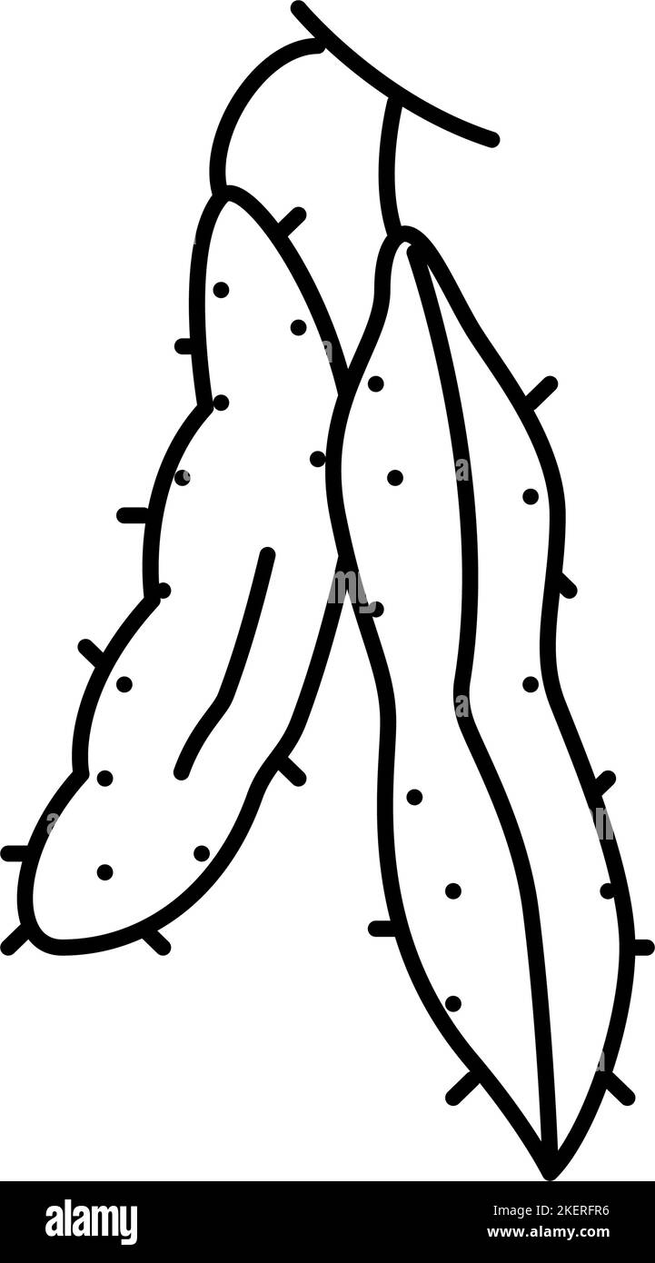 soy dry line icon vector illustration Stock Vector Image & Art - Alamy