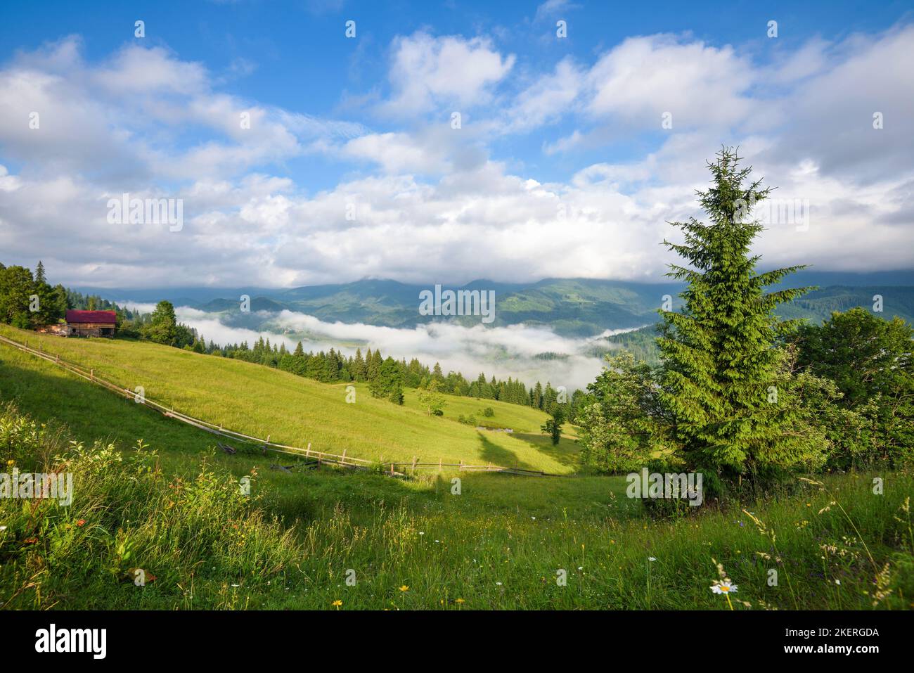 Splendid summer scene of a rolling hills on a sunny day. Mountains in ...