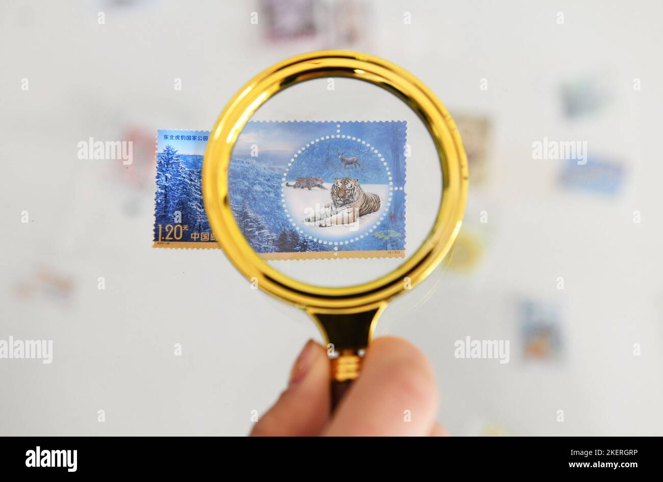 China Post issues a set of 5 commemorative stamps for "National Parks ...